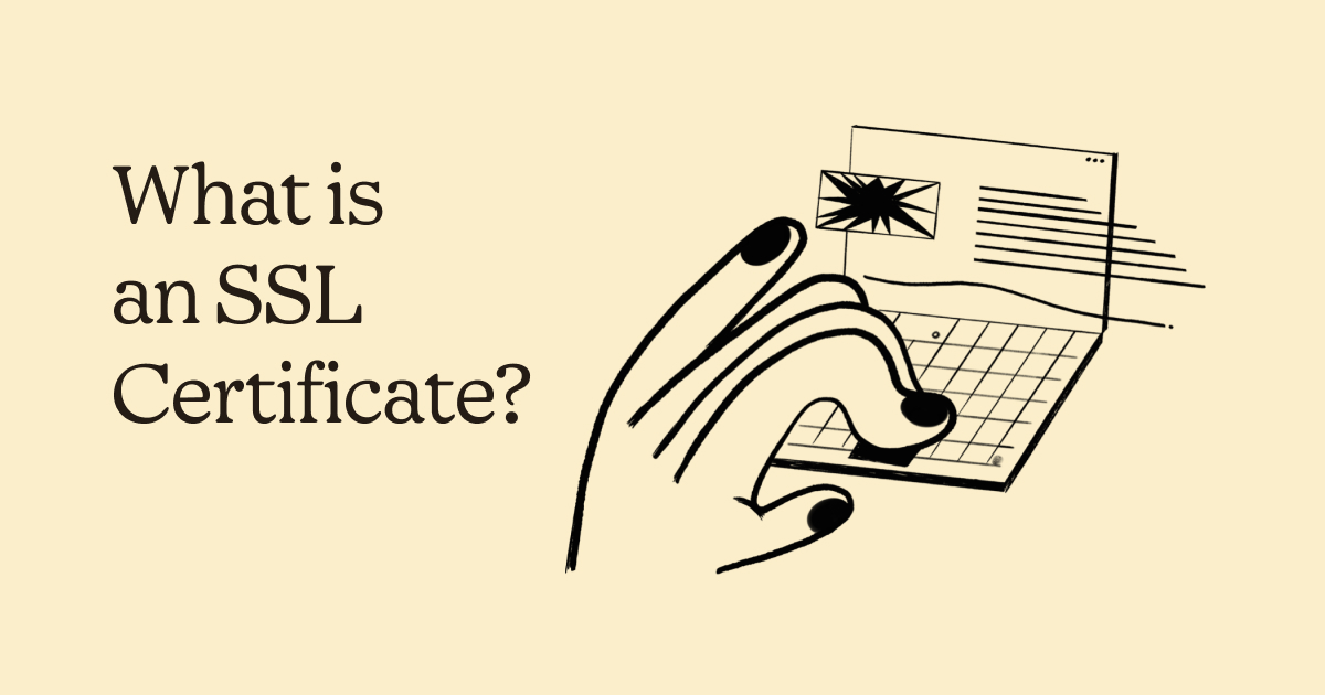 What is an SSL Certificate? SSL Certificates Explained | Mailchimp