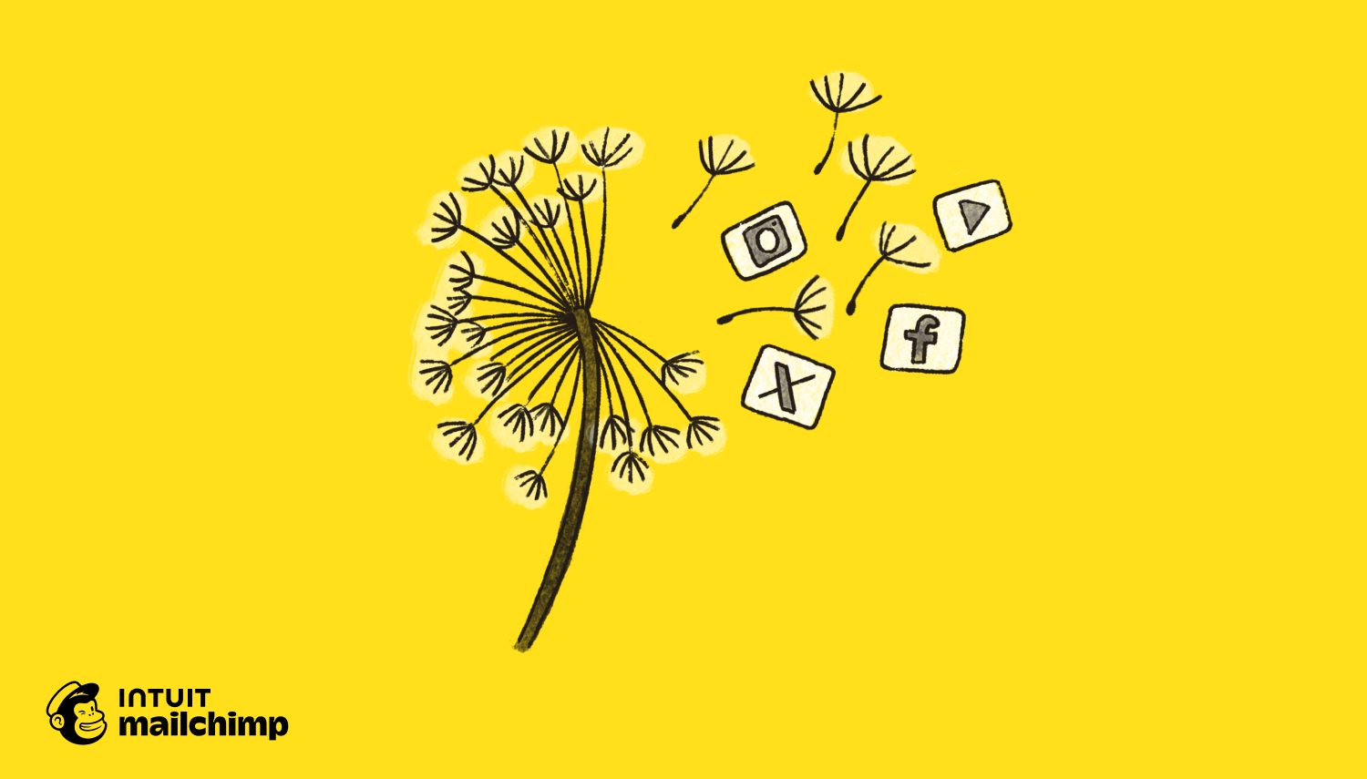 A Simple Guide to Content Seeding | Mailchimp