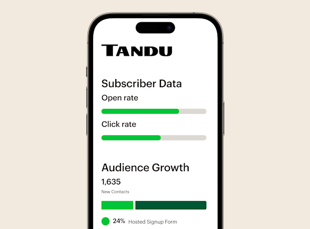 Audience Analytics Dashboard for Smarter Marketing Campaigns | Mailchimp