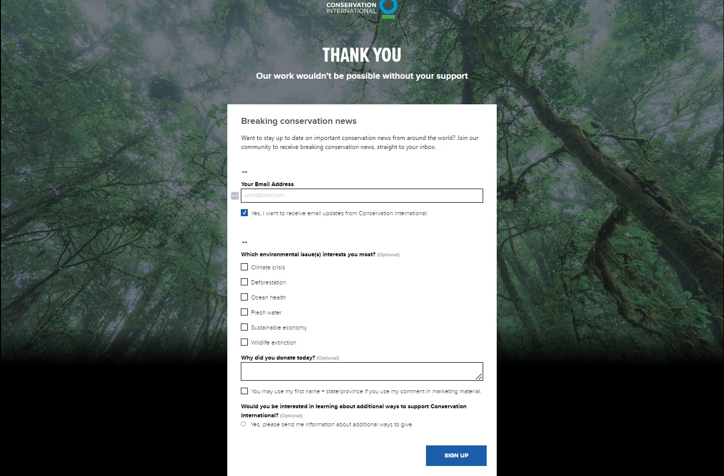 Great Thank-You Page Examples to Keep Customers Engaged | Mailchimp