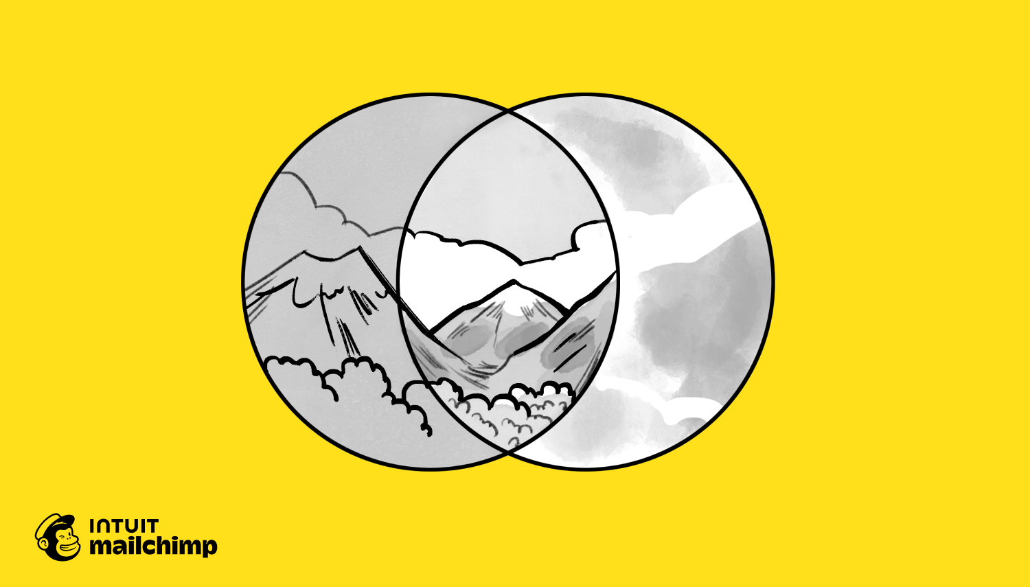 Exploring Data Collection Methods | Mailchimp